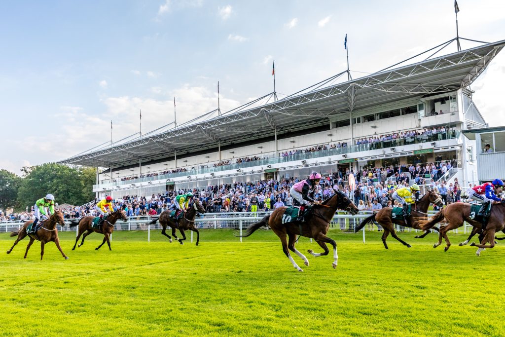 Hamilton Park Racecourse Mural Winner | Hamilton Park