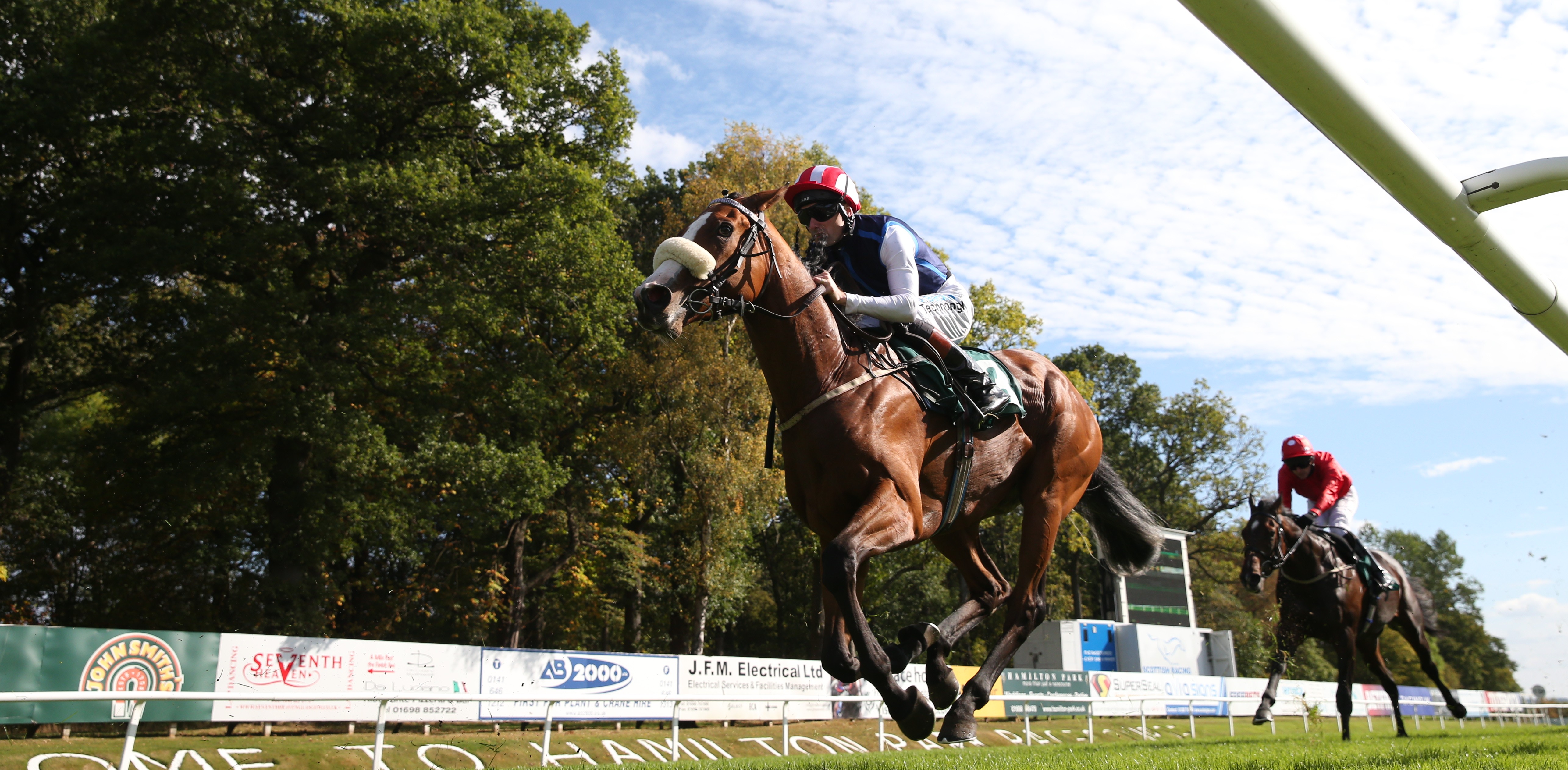 Hamilton Park Racecourse Mascot Competition | Hamilton Park
