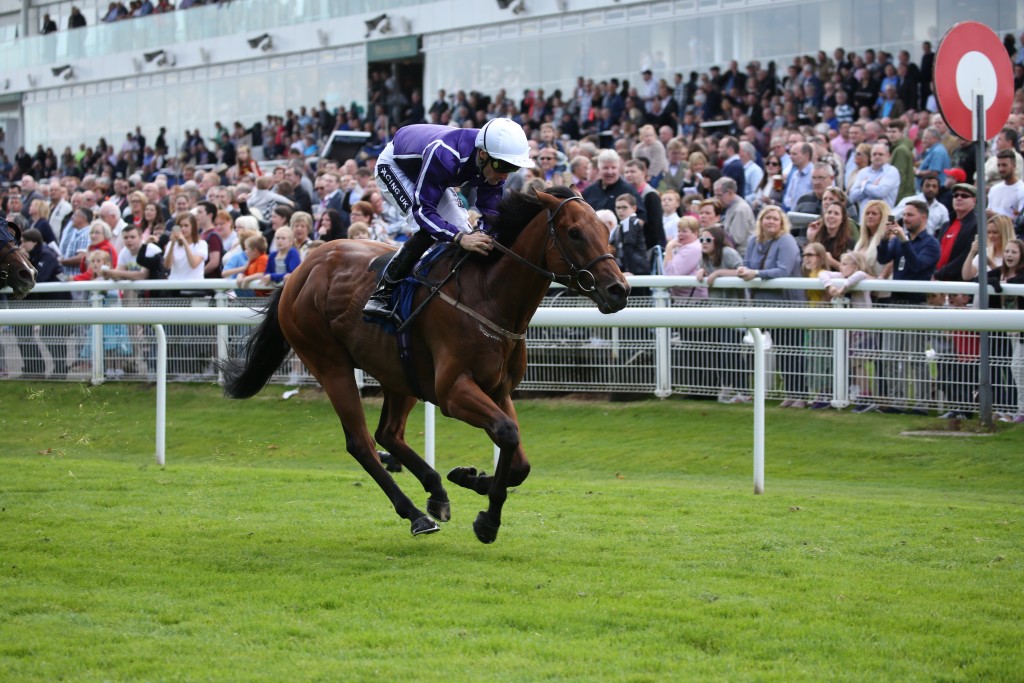 Hamilton Park Racecourse Aims to Hit £1 Million Prize Fund | Hamilton Park