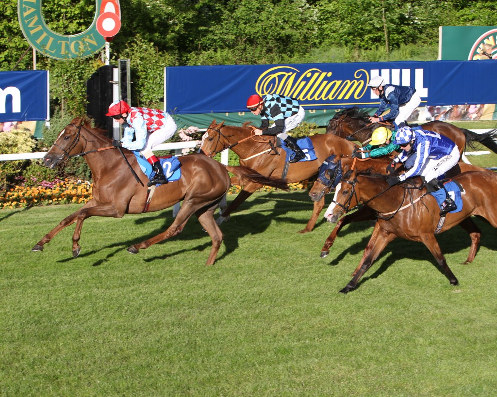 Record Breaking Prize Pot for Season 2016 at Hamilton Park Racecourse ...