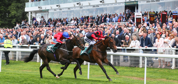 HAMILTON PARK SCOOPS PRESTIGIOUS RACECOURSE AWARD | Hamilton Park