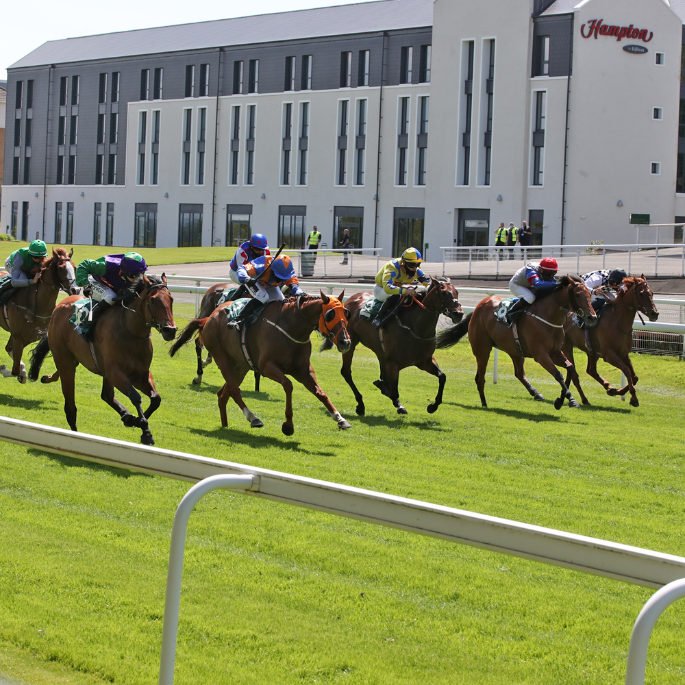 Horse Racing & Race Days at Hamilton Park