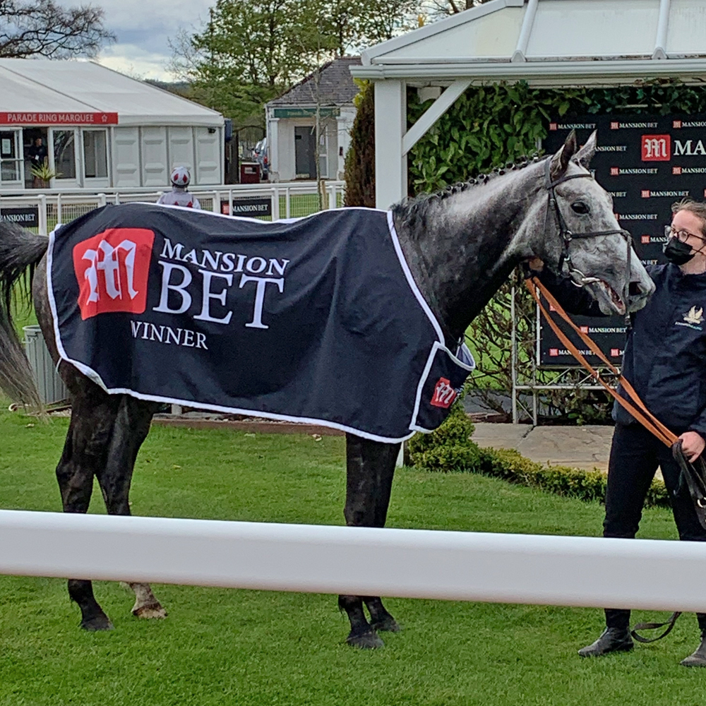 An Amazing Day of Horse Racing at Hamilton Park Racecourse