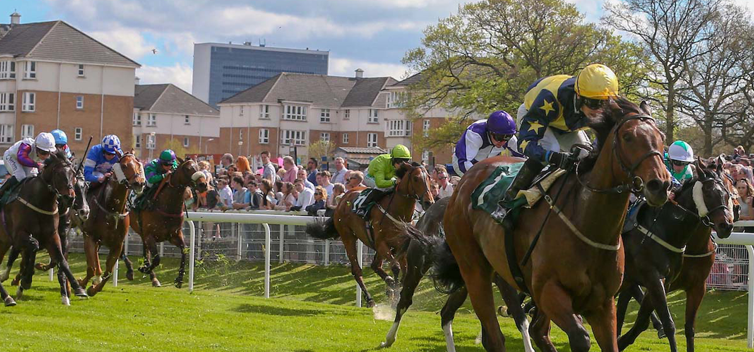 Racing Reports | Hamilton Park