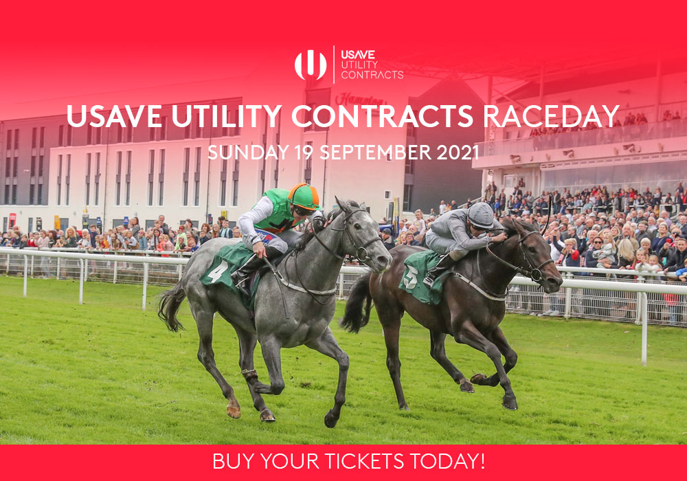 An Amazing Day of Horse Racing at Hamilton Park Racecourse