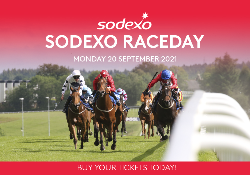 An Amazing Day of Horse Racing at Hamilton Park Racecourse