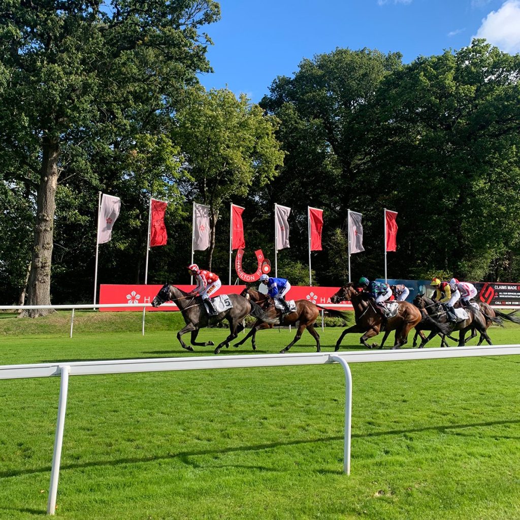 Join us for a day at the races and be part of the Hamilton Park experience.