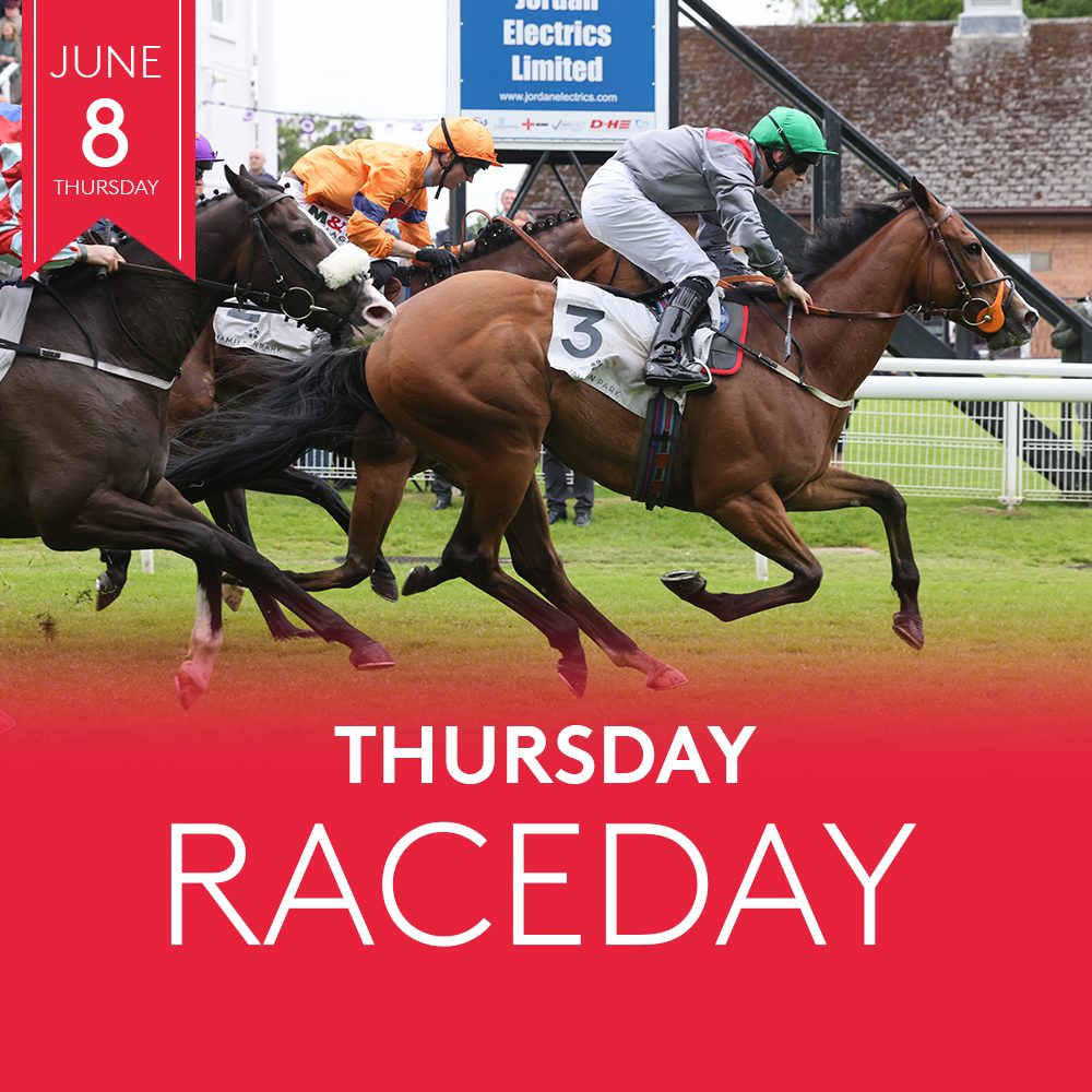 Thursday Raceday 2023 | Hamilton Park