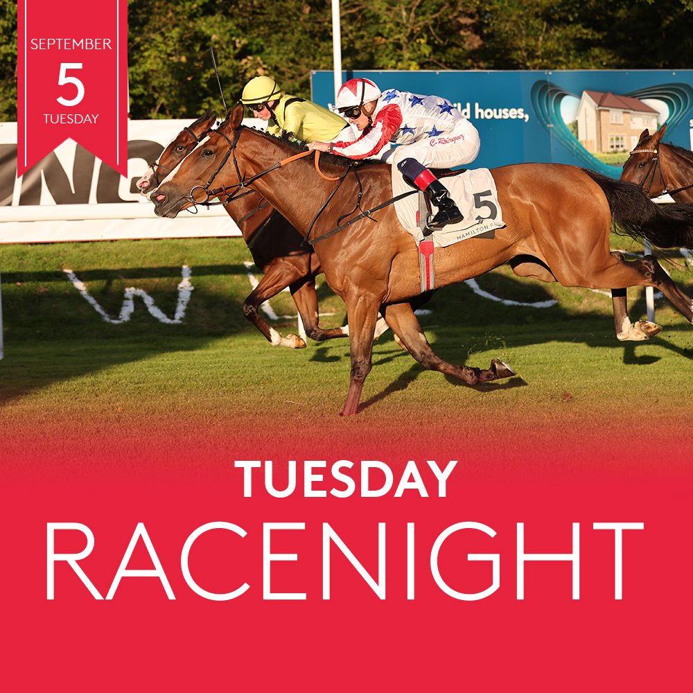Tuesday Racenight 2023 | Hamilton Park