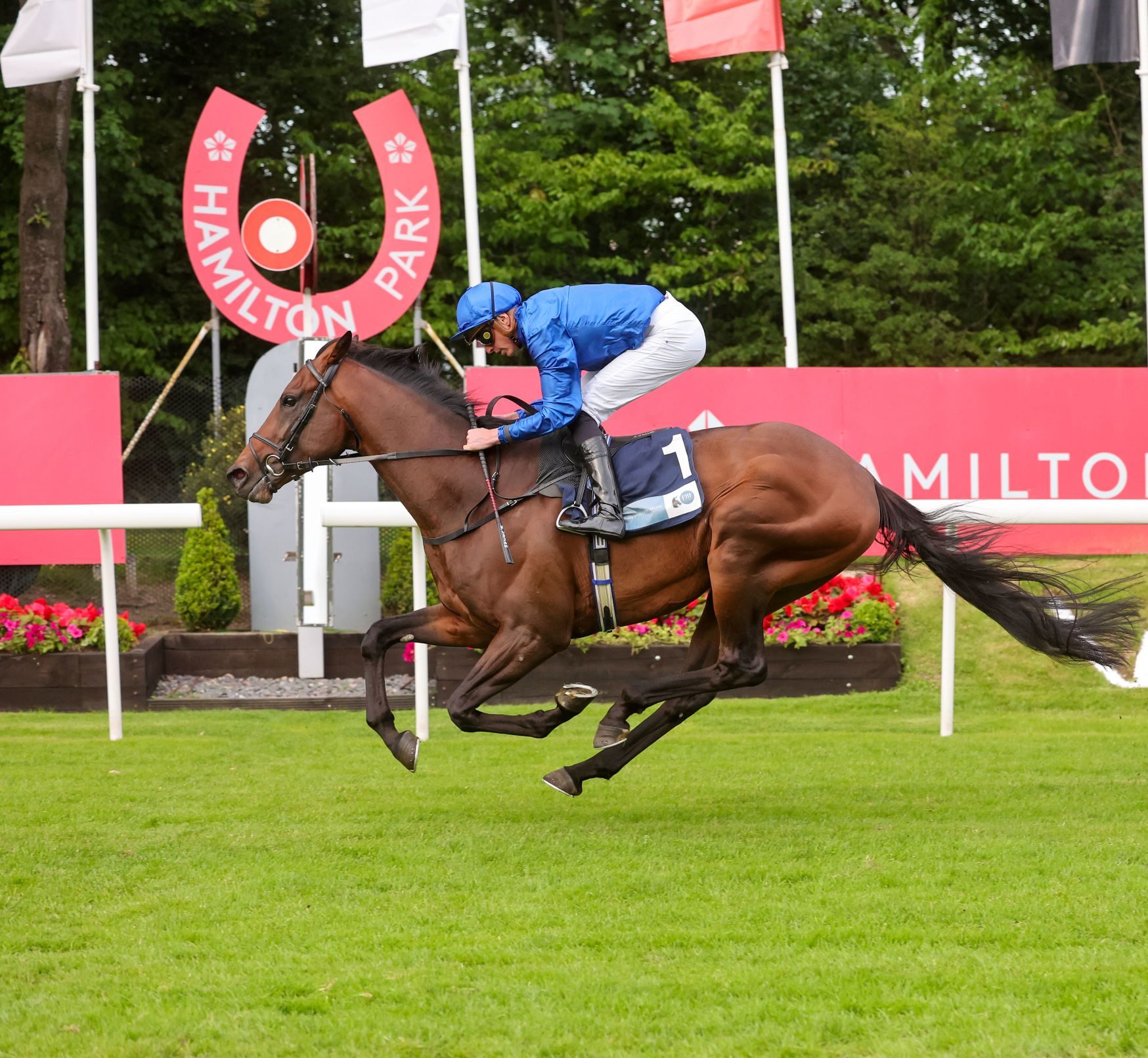 Greenversity Saints and Sinners Racenight - Racing Preview | Hamilton Park