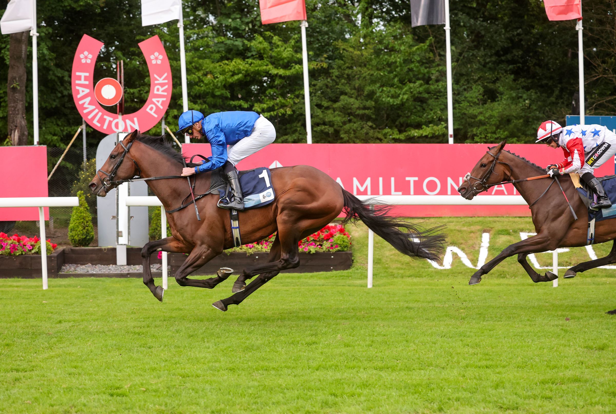 Indigo Unified Comms Raceday - Racing Preview | Hamilton Park